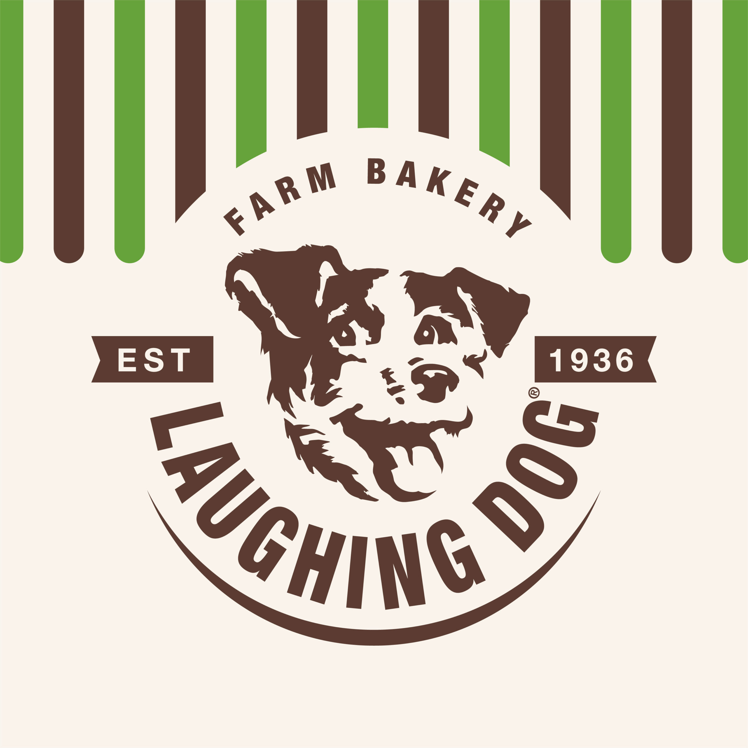 Laughing Dog & Brand Design Agency Bristol | The Collaborators